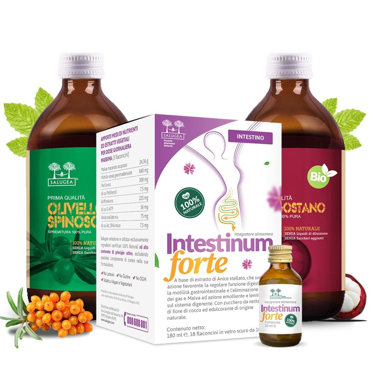 Quali sono i migliori integratori per l'intestino?