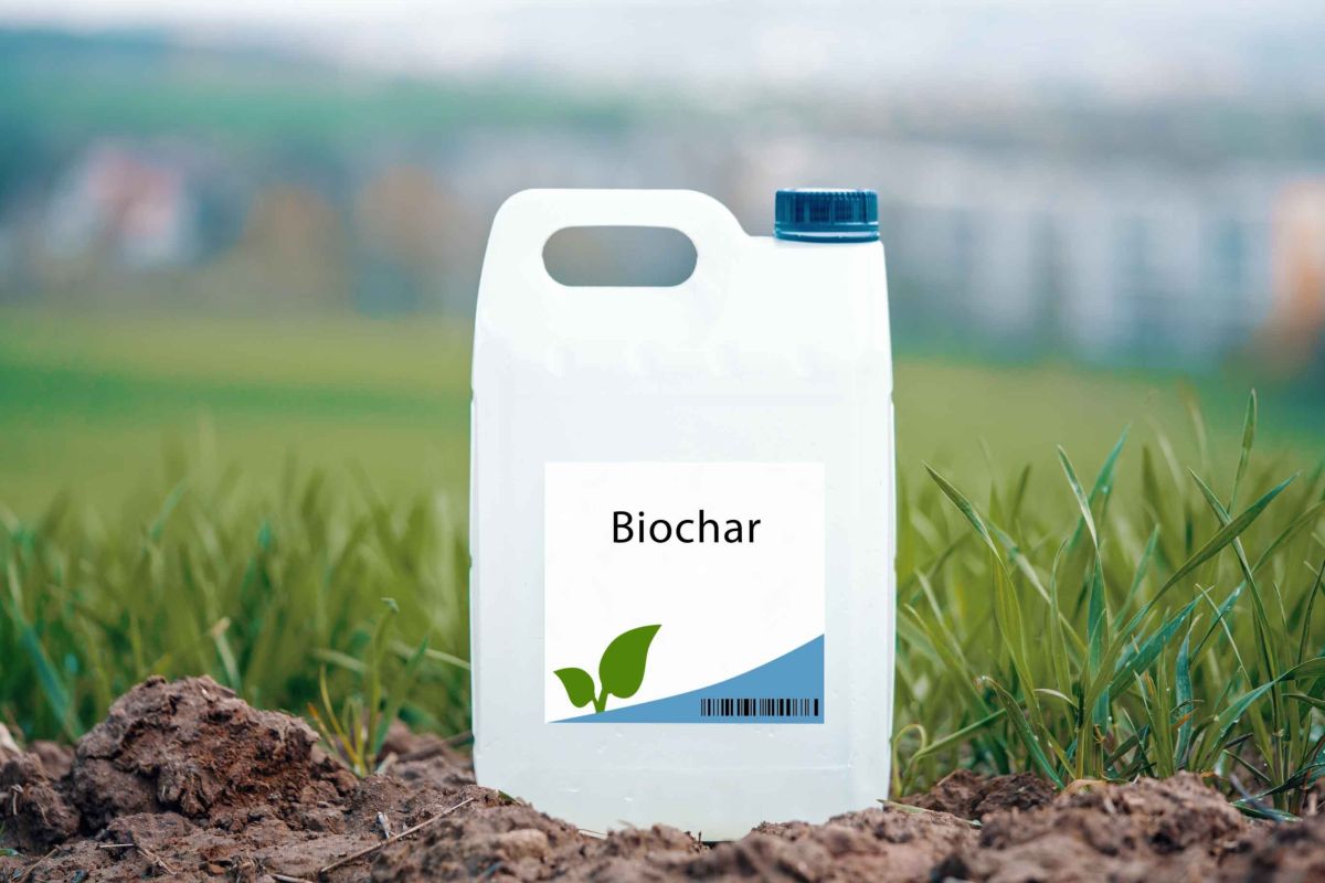Tutelare l'agricoltura e l'ambiente con il Biochar