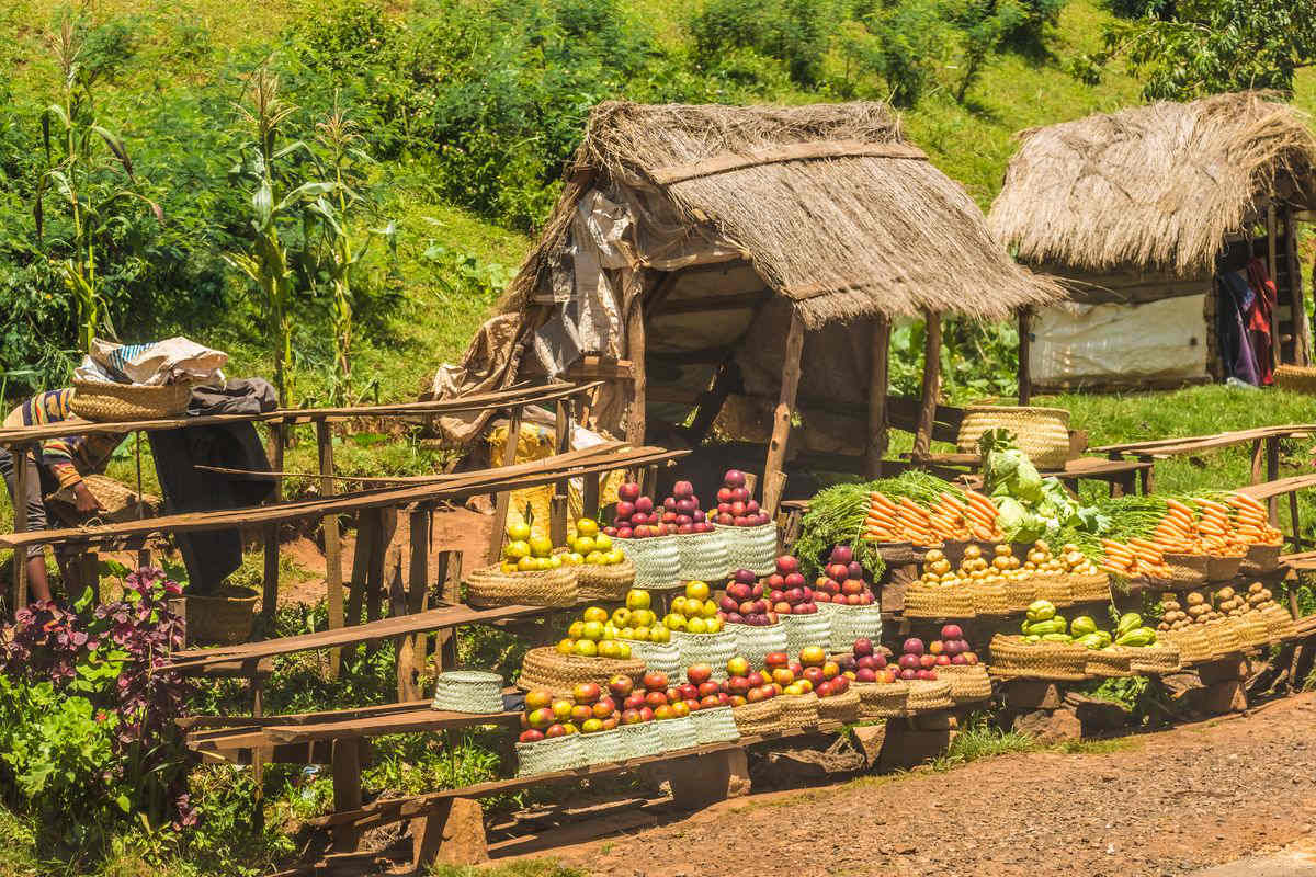 Trasforma il suo dolore in gioia: l'eco-villaggio di Mama Shu