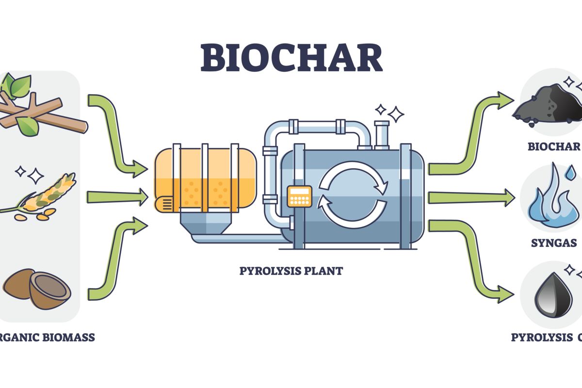 Tutelare l'agricoltura e l'ambiente con il Biochar